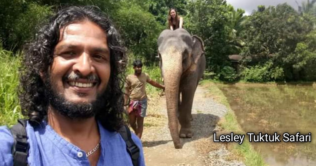 Kandy: Pinnawala Olifantensafari met rondleiding door Kandy | GetYourGuide