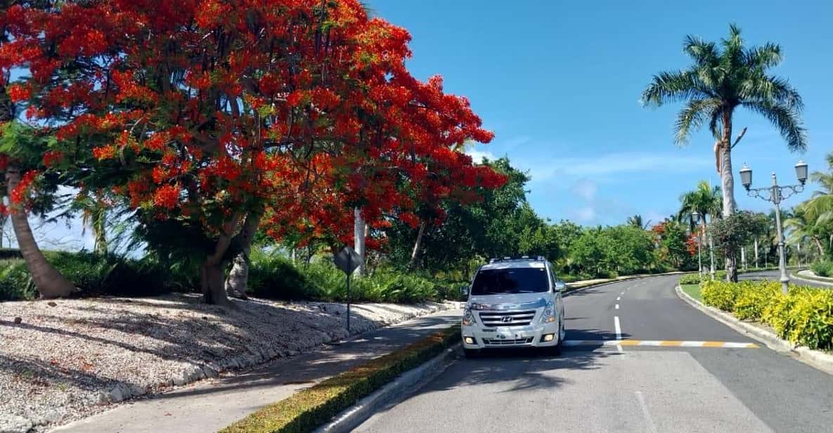 Privétransfer van PUJ naar Dreams Onyx | GetYourGuide