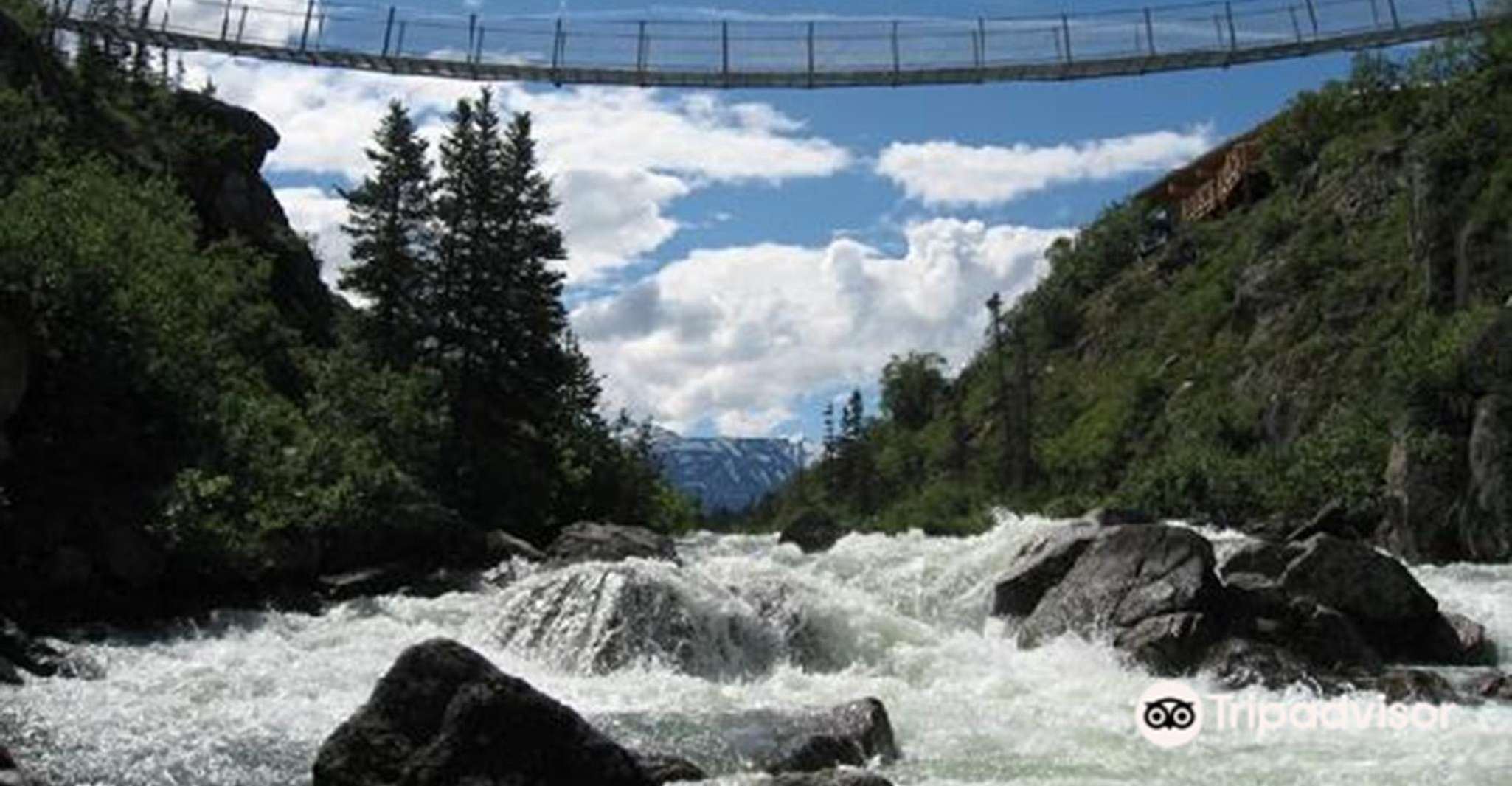 From Skagway, White Pass and Yukon Suspension Bridge Tour | Guided Tour ...