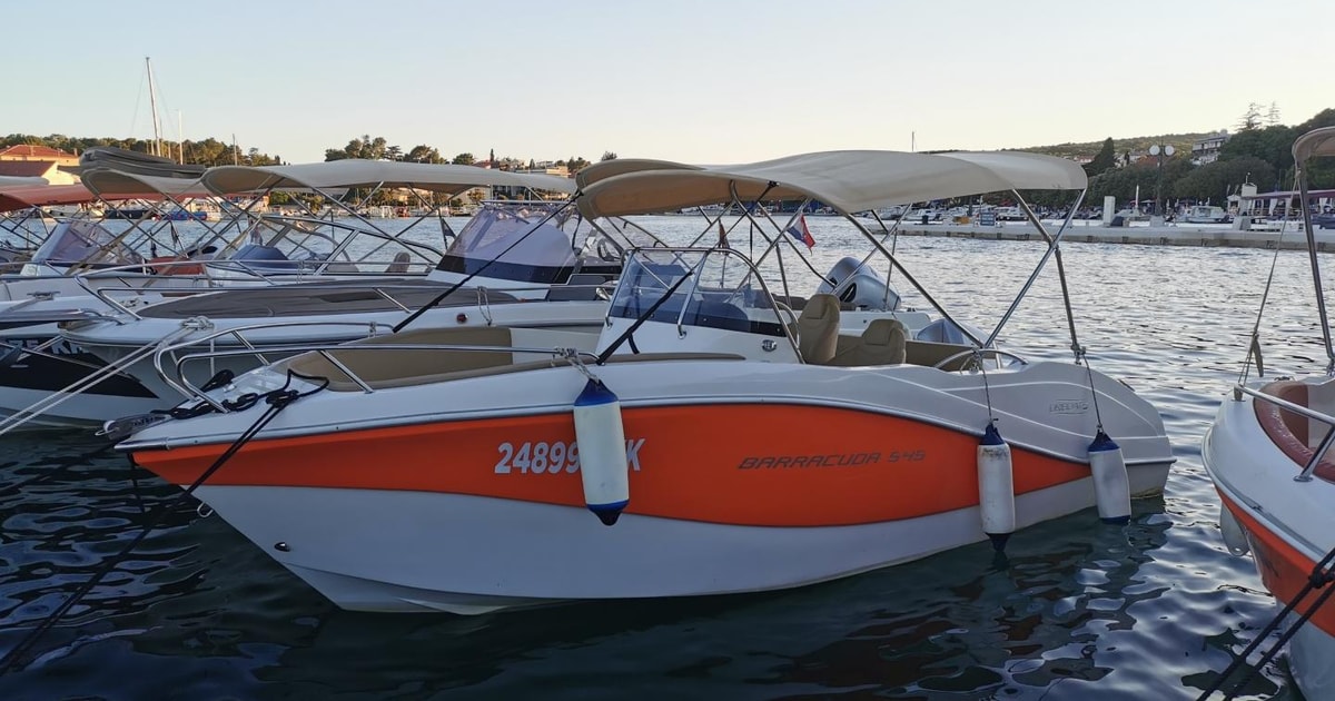 Oki Barracuda 545 356kk | GetYourGuide