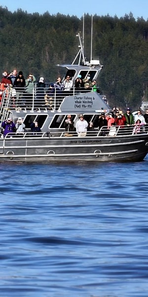 Lopez Island: Whale & Orca Boat Tour | GetYourGuide