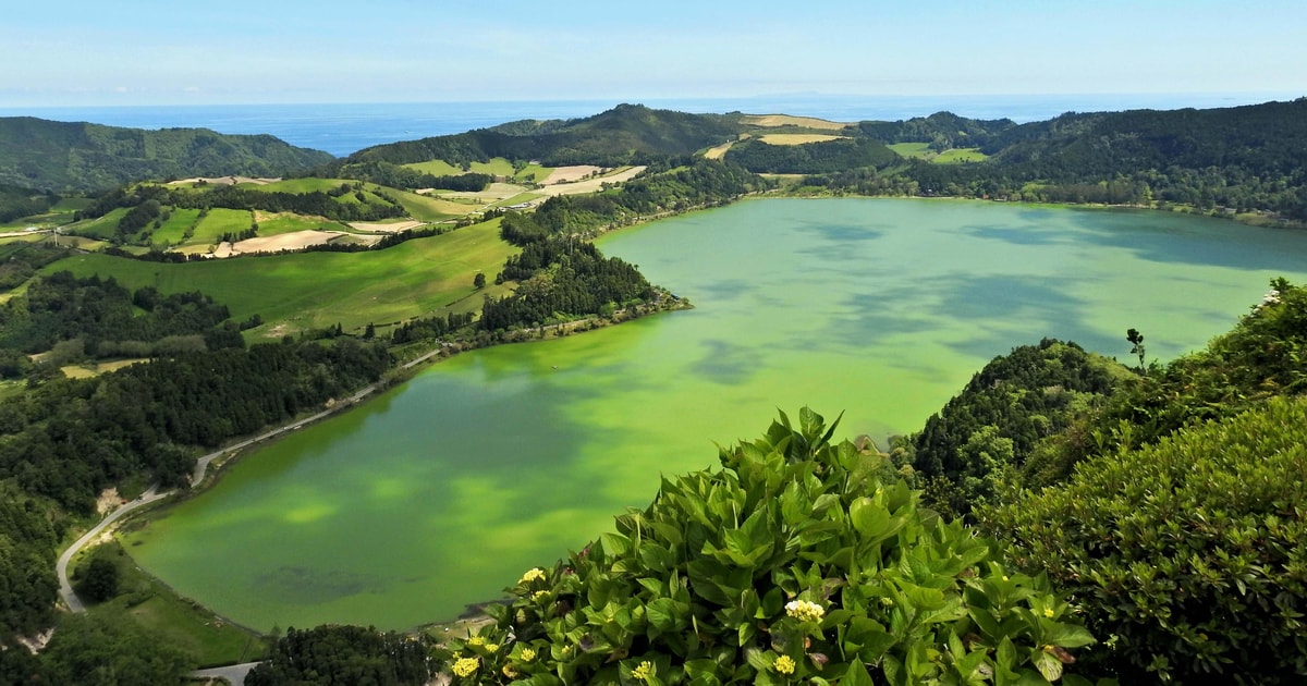 Furnas: Theeplantages, meer en vulkaan rondleiding | GetYourGuide