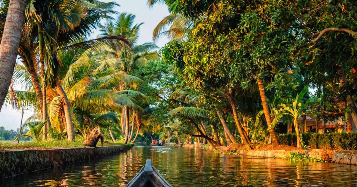 Alleppey Shikara boat ride | GetYourGuide