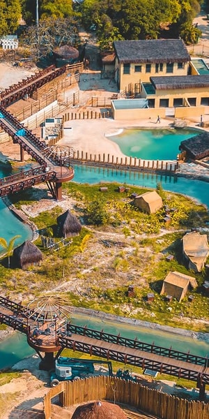 Rio de Janeiro: Ingressos para o BioParque do Rio (Zoo) | GetYourGuide