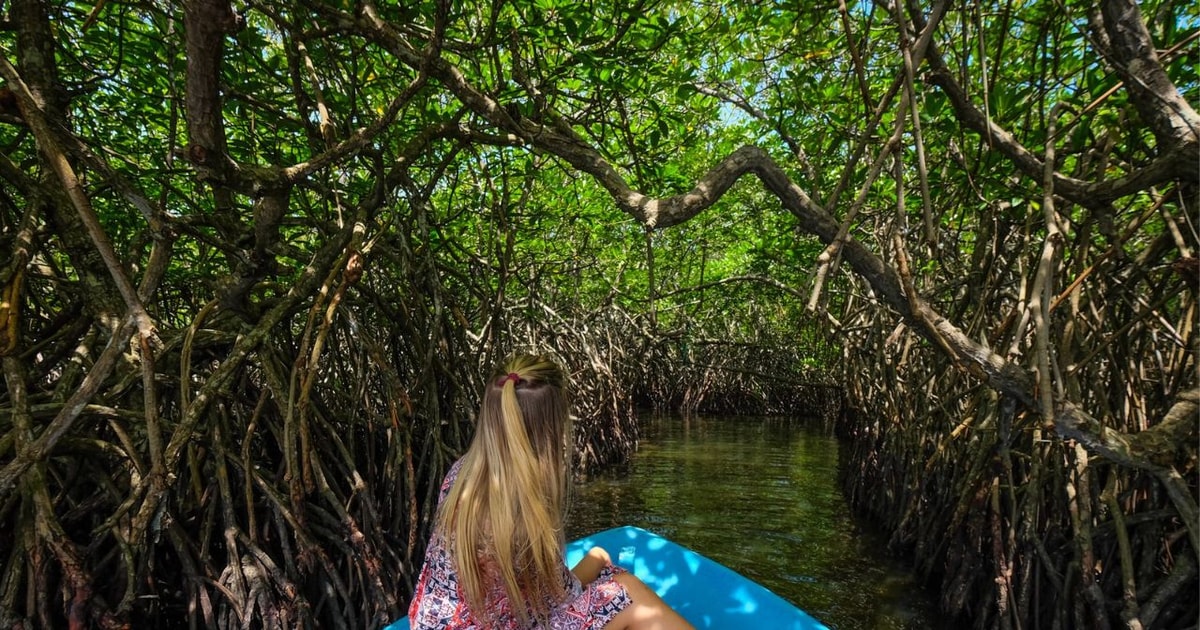 From Negombo: Madu River Safari & Turtle Hatchery Visit | GetYourGuide