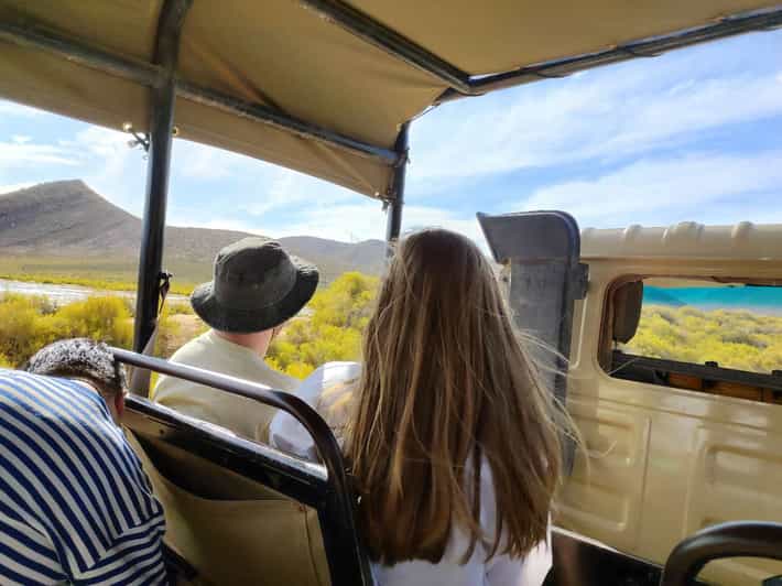 2 Days Safari & Winelands Tour All Inclusive Private Tour | GetYourGuide