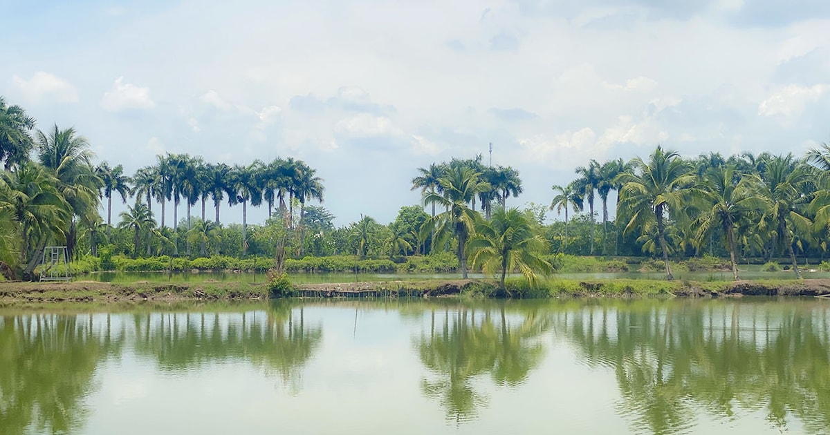 Premium Con Son Islet Tour - Entdecke den wertvollen Edelstein ...