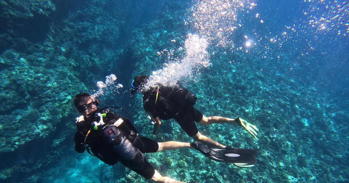 One-hour introduction to scuba diving! | GetYourGuide