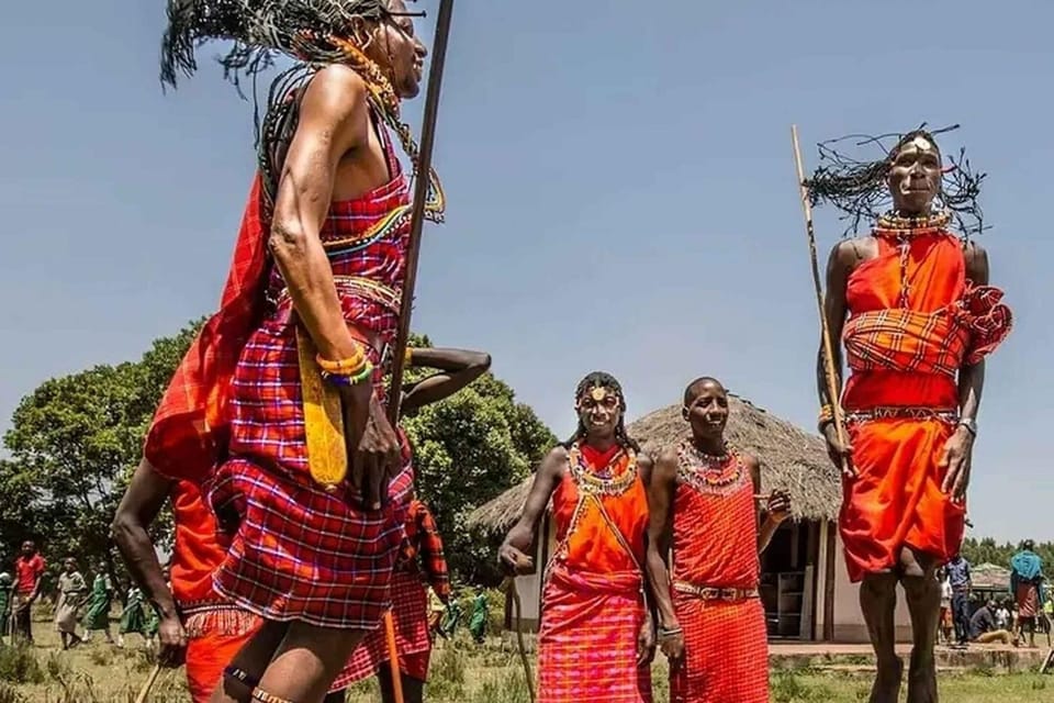 Bomas of Kenya Cultural Dance Tour and Show | GetYourGuide