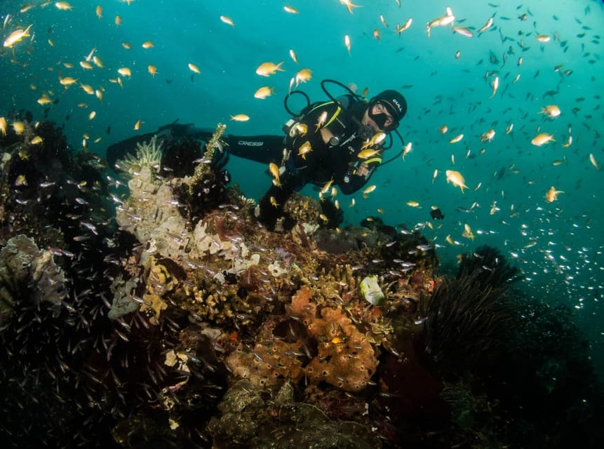 Scuba Diving in Boracay: SSI Basic Diver for Beginners | GetYourGuide