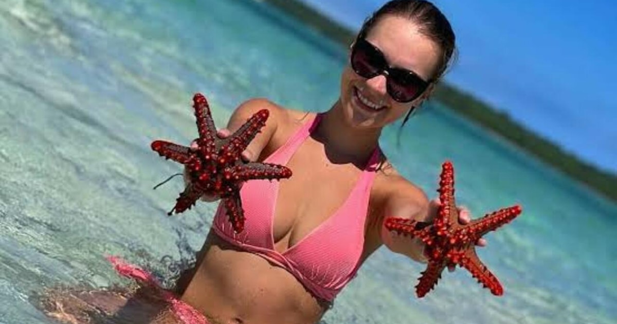 Pădurea Jozani, Sanctuarul de pești stelari și țestoase marine | GetYourGuide