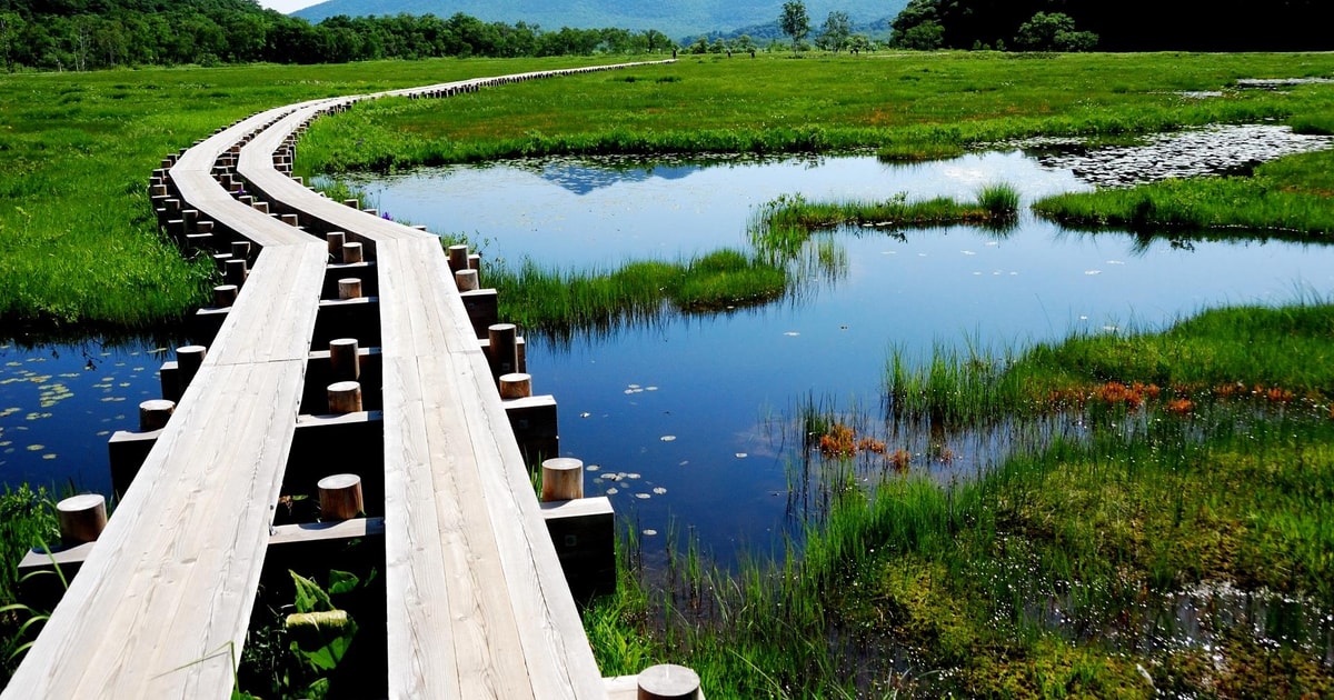 Tokio: excursión autoguiada por el Parque Nacional de Oze con autobús ...