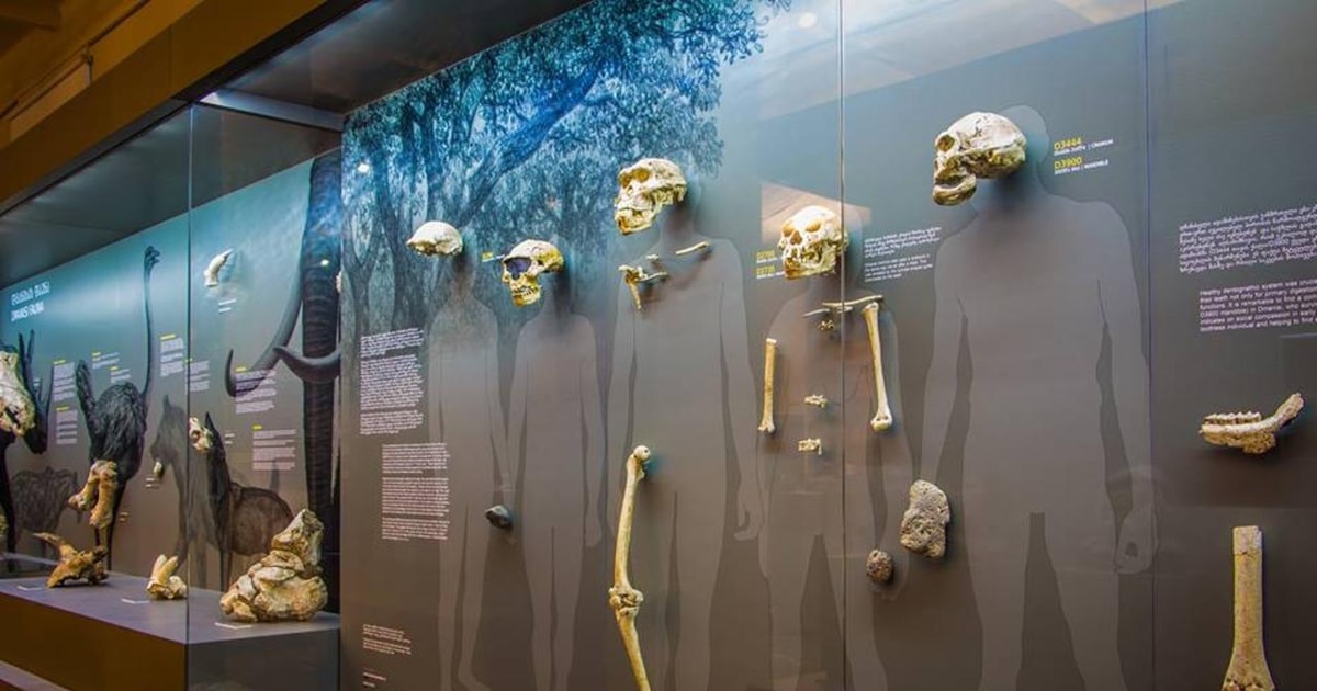 Georgian National Museum Entry Ticket | GetYourGuide