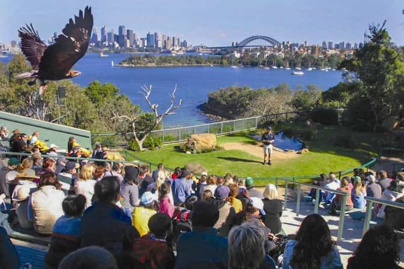 Sydney: Taronga Zoo Tickets | GetYourGuide
