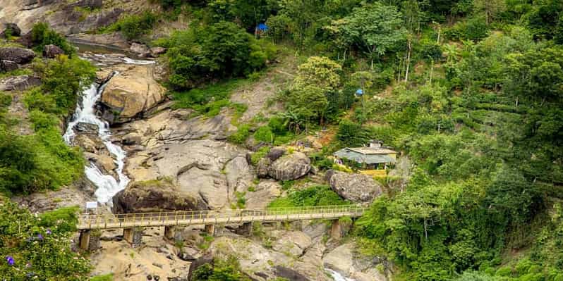 Assam Wildlife, Nature, & Cultural Tour 10D/9N | GetYourGuide