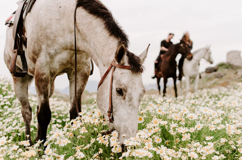 Santorini:Horse Riding Experience at Sunset on the Caldera | GetYourGuide