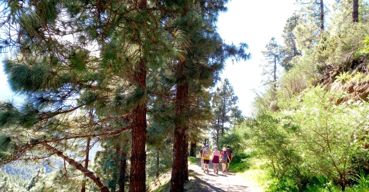 Tenerife: Wandelen boven het dorp Masca | GetYourGuide