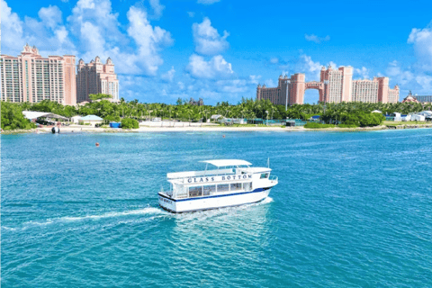 Nassau Cruise Port, Nassau - Book Tickets & Tours | GetYourGuide