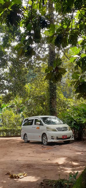 Paje: Private Transfer to Stone Town or Airport | GetYourGuide