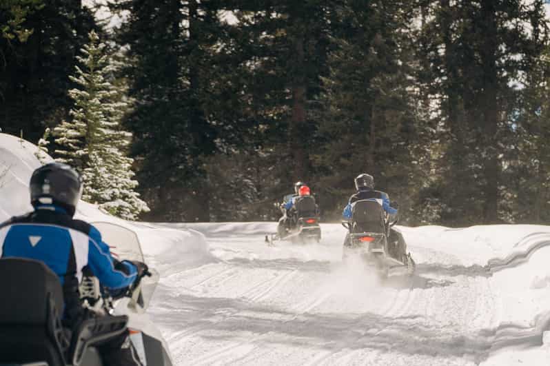 Jackson Hole: Turpin Meadow Ranch Snowmobile Tour | GetYourGuide