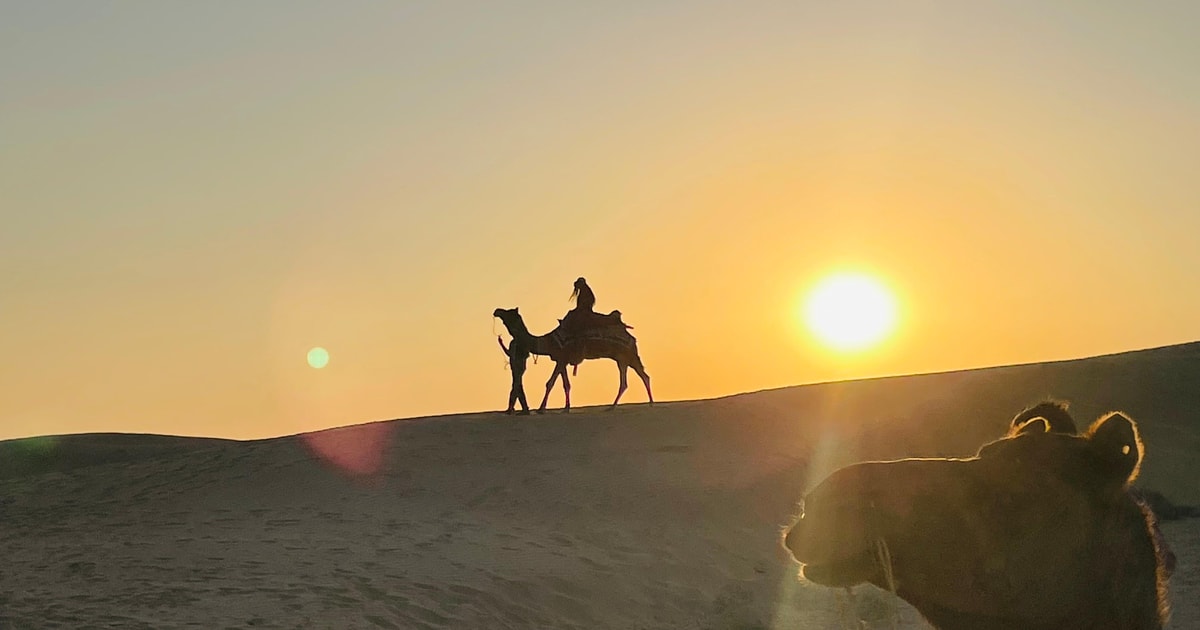 Half Day Camel Safari Sunset with Dinner by Wanderlust | GetYourGuide