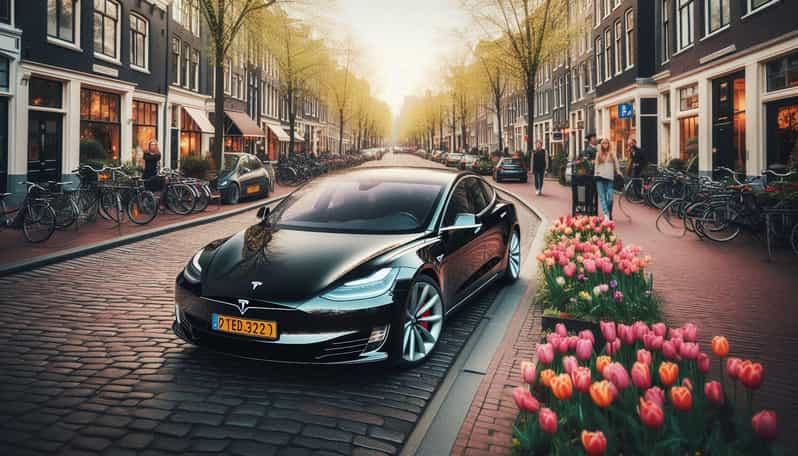 Amsterdam: Private Tour in a TESLA | GetYourGuide