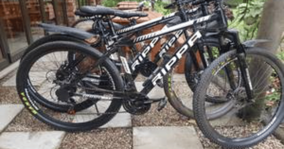 Stormsrivier Village : Full Day Bike Rental - Adults | GetYourGuide