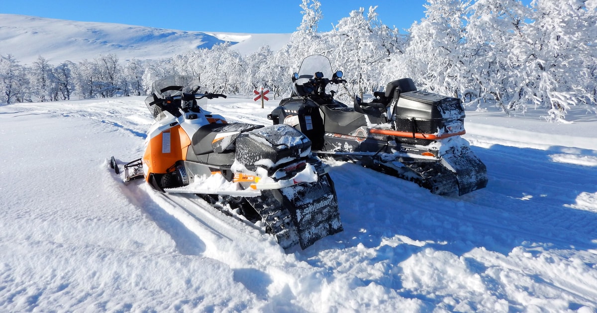 Swedish Lapland: Snowmobile safari | GetYourGuide