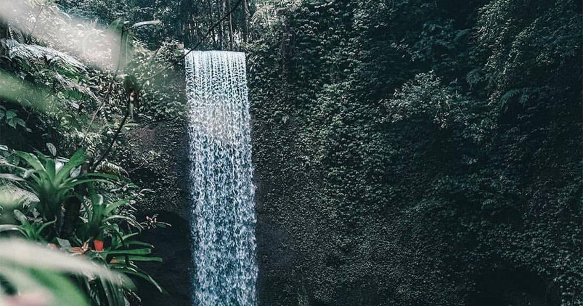 UBUD WATER FALL PRIVATE DAY TOUR BALI INDONESIA | GetYourGuide
