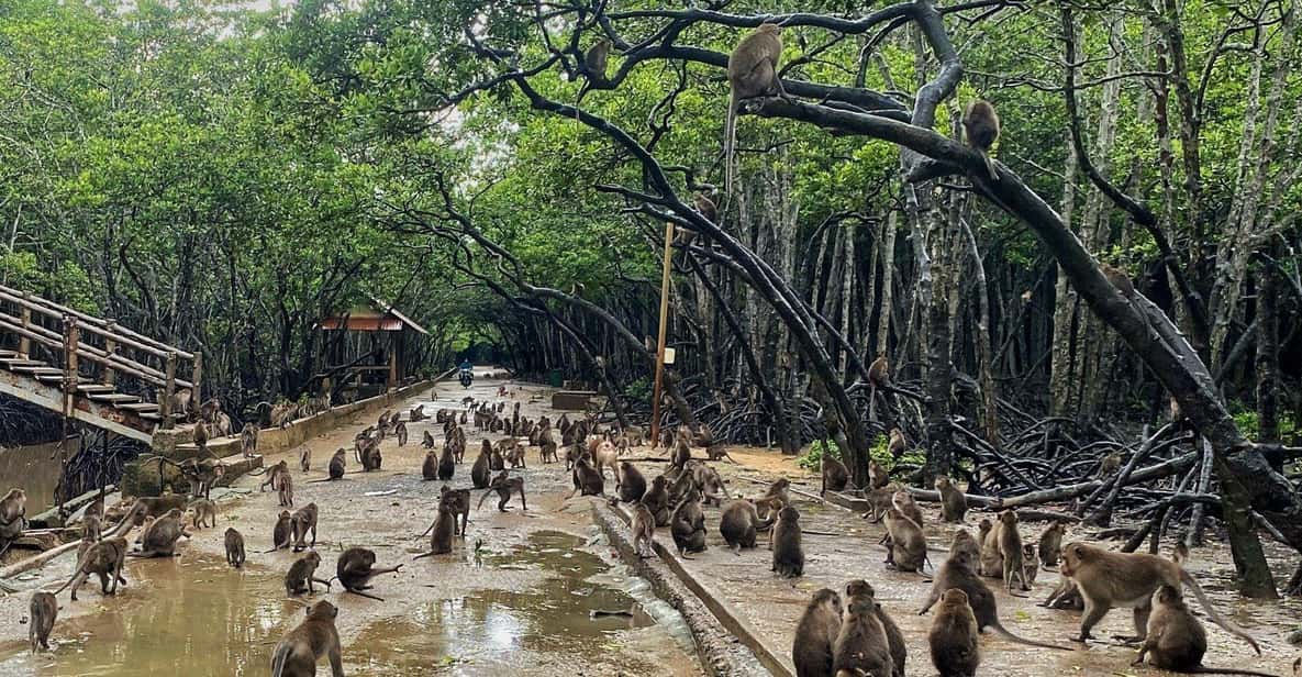 Can Gio Eco: Excursión a la Isla de los Monos, Granja de Cocodrilos y ...