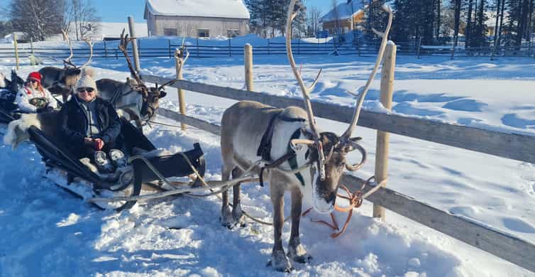 Levi Lapland: Lappish Village and reindeer ride | GetYourGuide