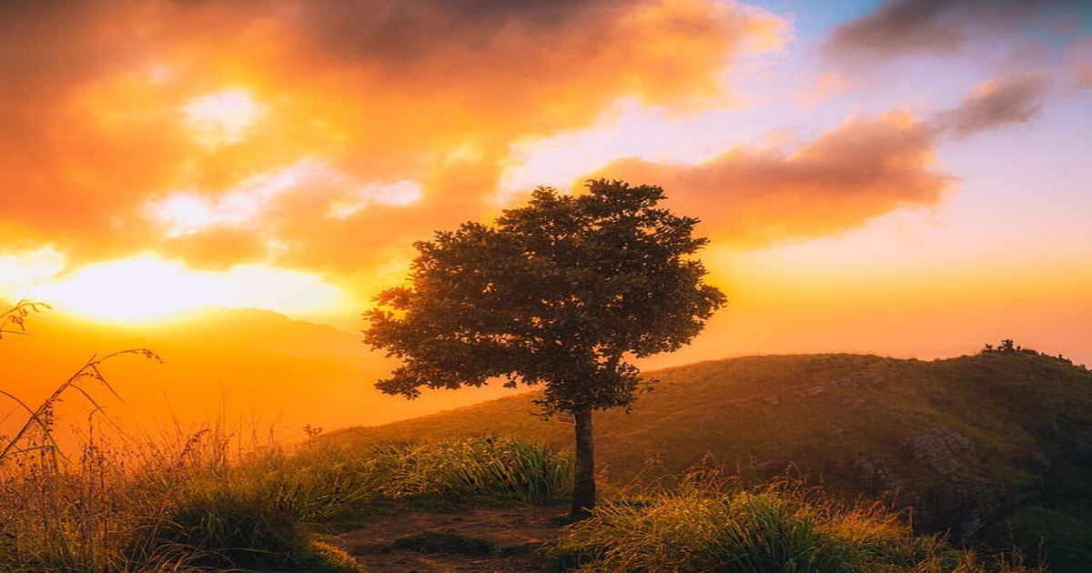 From Ella - Sunrise Adventure Little Adam's Peak Expedition | GetYourGuide