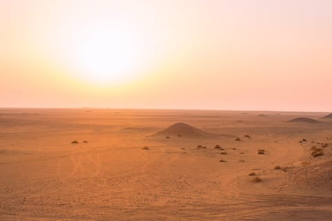 The BEST Kuwait City Tours and Things to Do in 2024 - FREE Cancellation ...