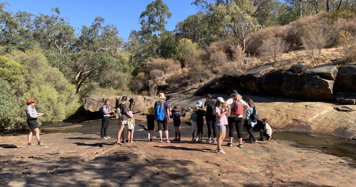Perth: Roley Pools Reserve Mummy & Me Hike Tea | GetYourGuide