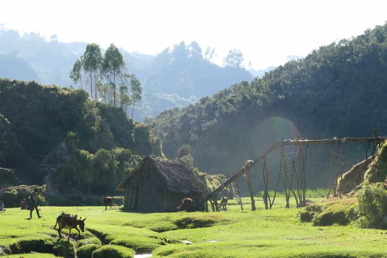 Stunning Views Wonchi Crater Lake a Private Day Trip | GetYourGuide