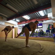 Authentic Sumo Experience in Tokyo : Enter the Sanctuary | GetYourGuide