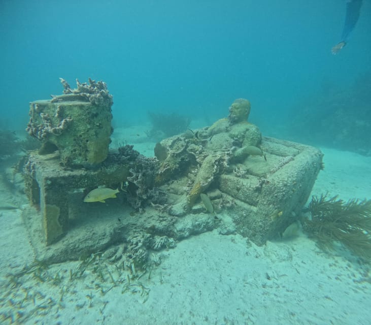 Snorkel Paradise Cancun and underwater museum in Nizuc | GetYourGuide