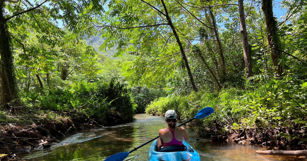 Oahu: Single & Double Kayak 3-Hour River Rental | GetYourGuide