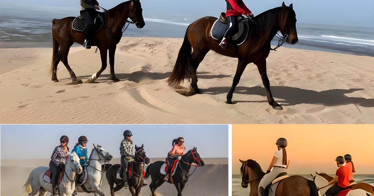 Doha: paardrijervaring in de woestijn van Qatar | GetYourGuide