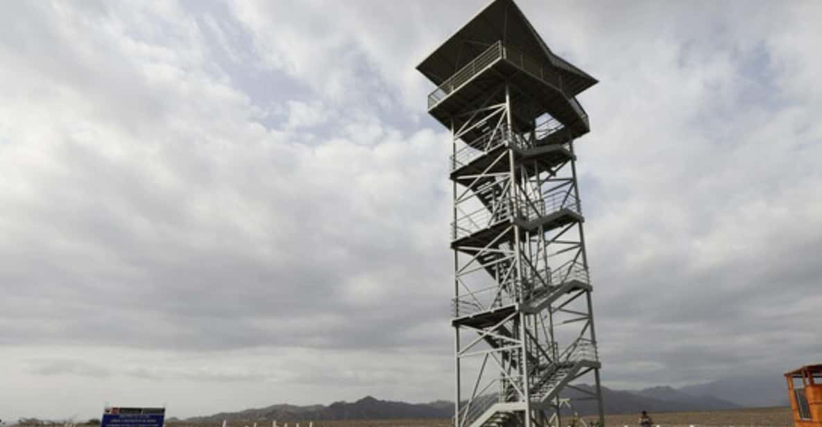 From Nazca: Maria Reiche House Museum and Panamericana Tour | GetYourGuide