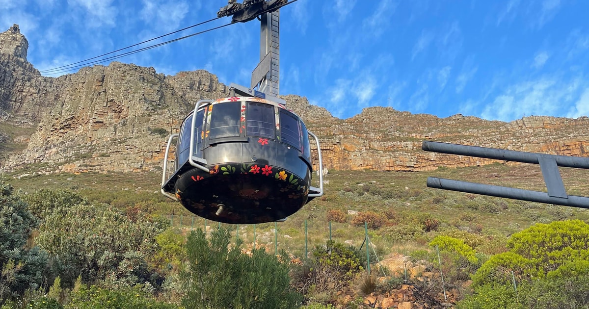 Table Mountain to Cape of Good Hope Penguin Private Tour | GetYourGuide