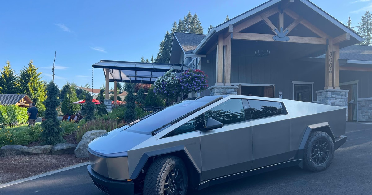 Cyber Pumpkin Patch Tour | GetYourGuide