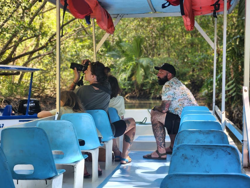 Monkey Mangrove Boat Tour | GetYourGuide