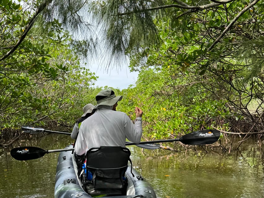 Fort Pierce: 6-timmars Mangroves, kust floder och vilda djur i FL ...