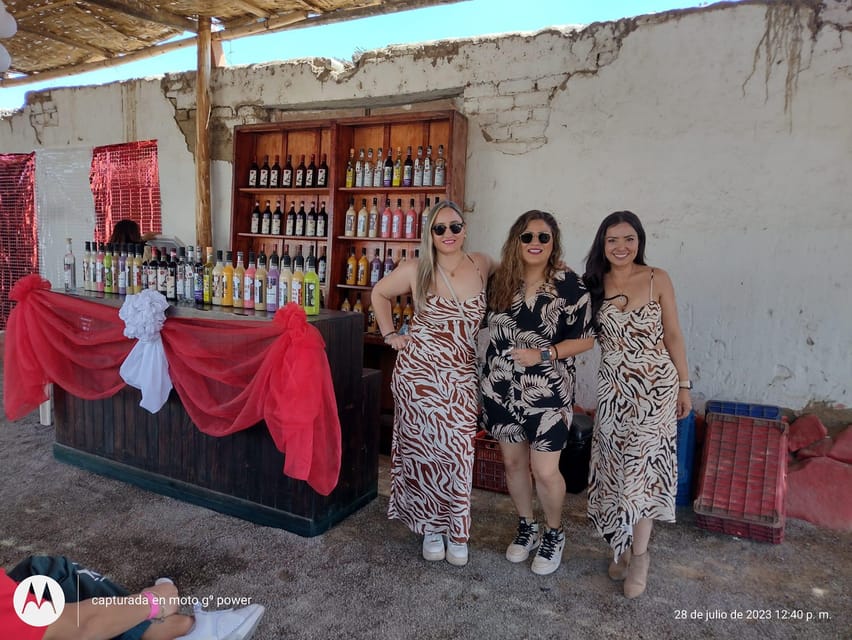 Ica: Ruta del Pisco Tacama, Arrabal, Bodega Lovera | GetYourGuide
