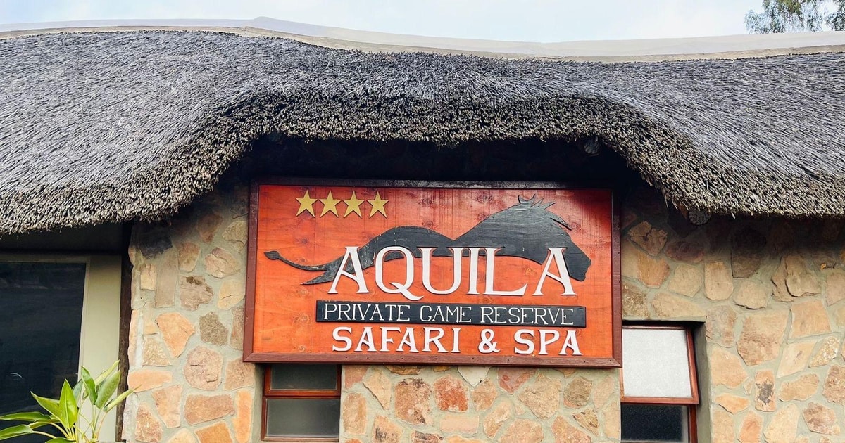 Safari Day visit Tour Aquila Private Game Reserve | GetYourGuide