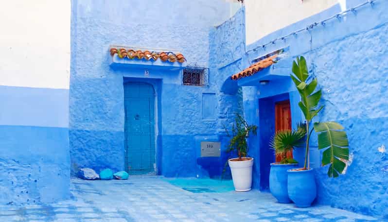 Memorable Day Trip From Fez to Chefchaouen the Blue City | GetYourGuide