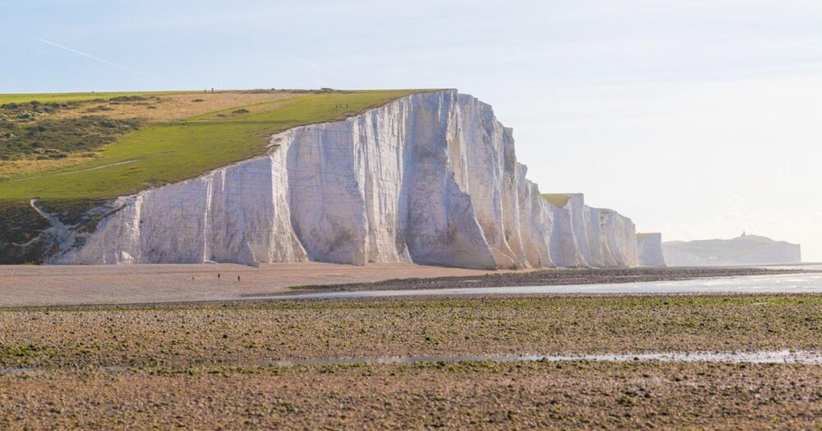 London: Brighton & Seven Sisters Cliffs Private Day Tour | GetYourGuide