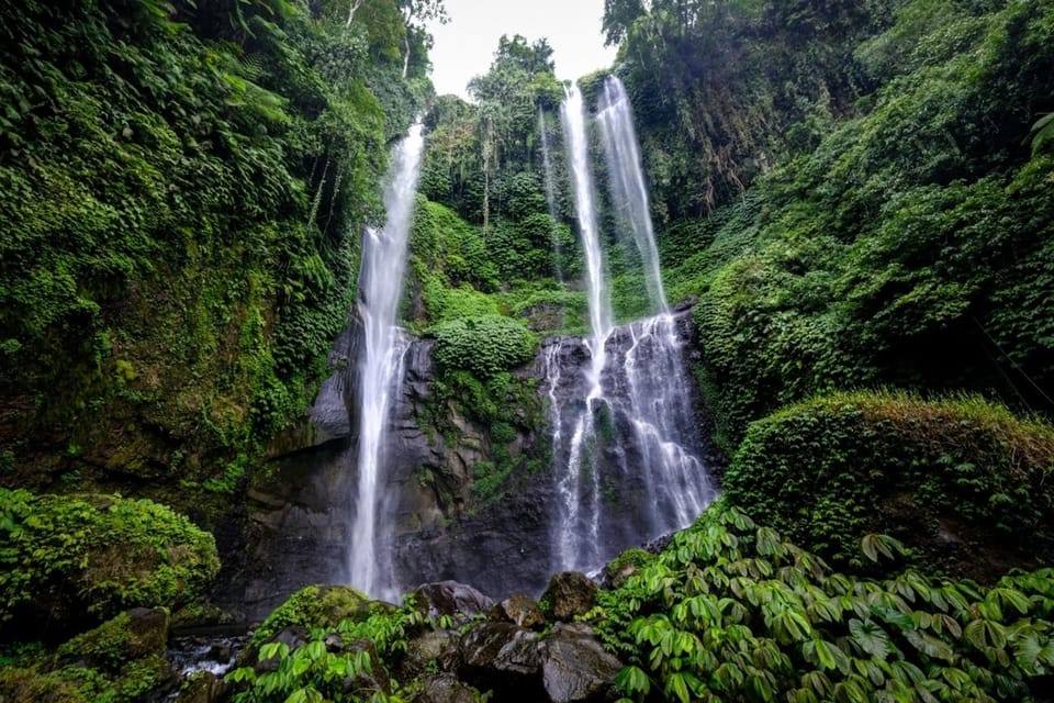Bali: Hill Side Lemukih Treeking with Amazing view | GetYourGuide