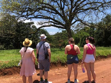 Entebbe: Equatar Line Tour & Victoria Lake Sunset Boat Ride | GetYourGuide